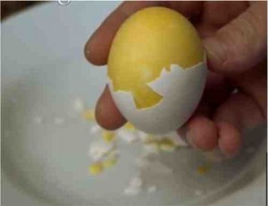 HOW TO SCRAMBLE AN EGG INSIDE ITS SHELL - Do-It-Yourself Fun Ideas